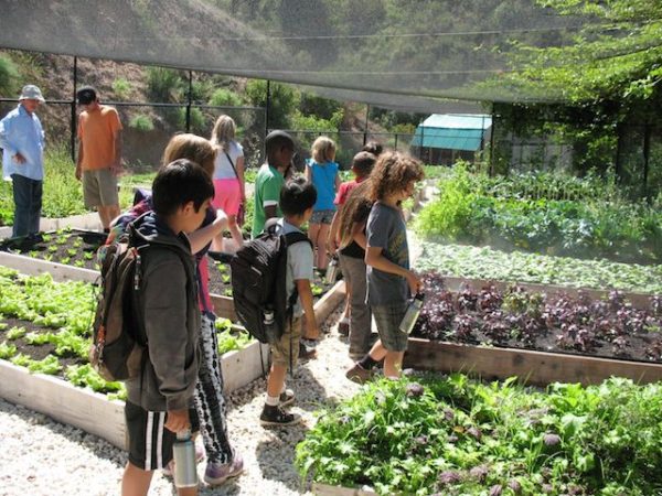 California MUSE School Going Vegan - First in US