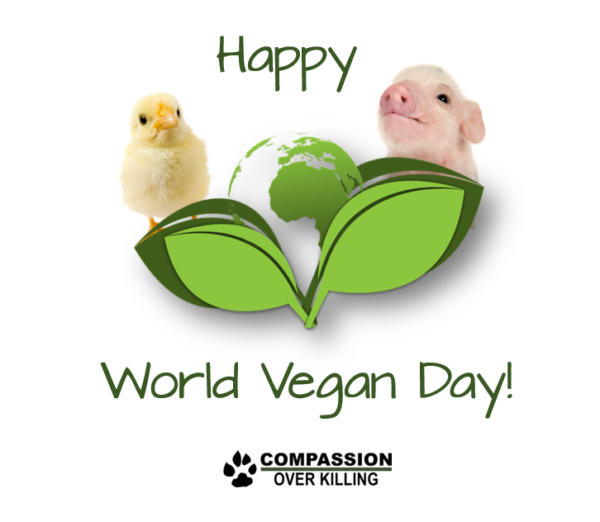 Eight Easy Ways to Celebrate World Vegan Day