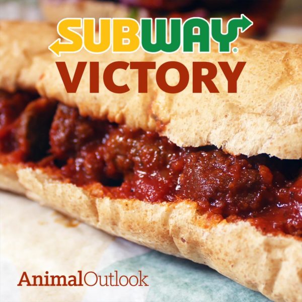 Subway to Launch Beyond Meatball Sub - Animal Outlook
