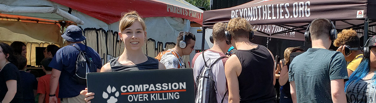 Guide to Video Outreach - Animal Outlook