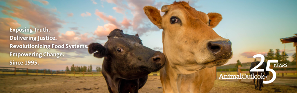 Celebrating 25 Years of Changing the World for Animals - Animal Outlook