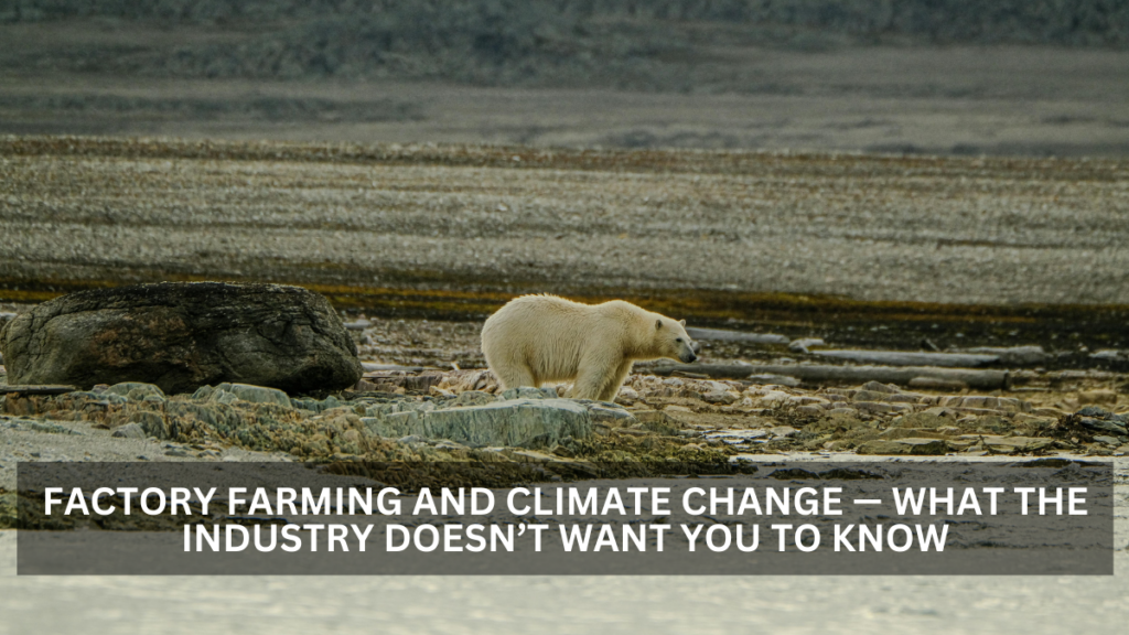 Factory Farming and Climate Change — What the Industry Doesn’t Want You ...